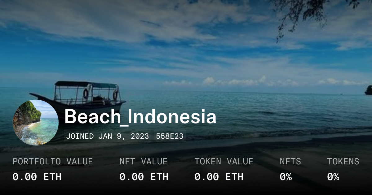Beach_Indonesia - Profile | OpenSea