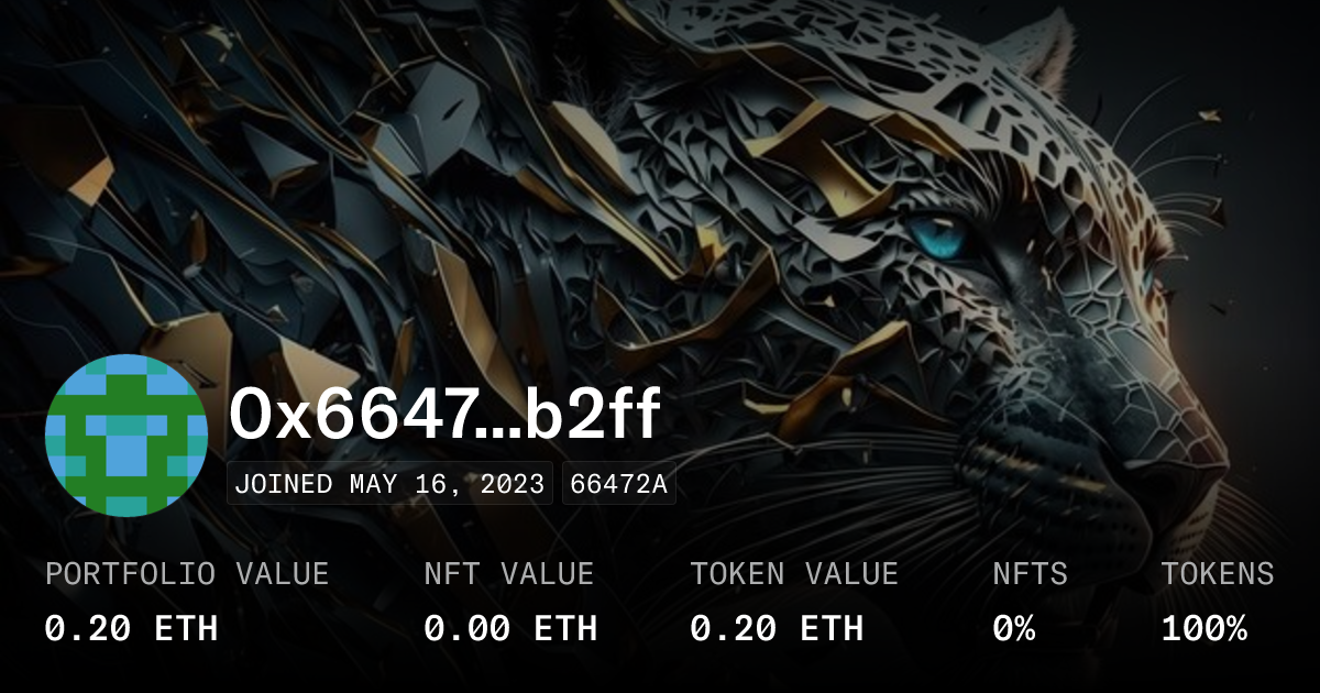 0x66472a093b0daa05eec95bbcf0217b09f321b2ff - Profile | OpenSea