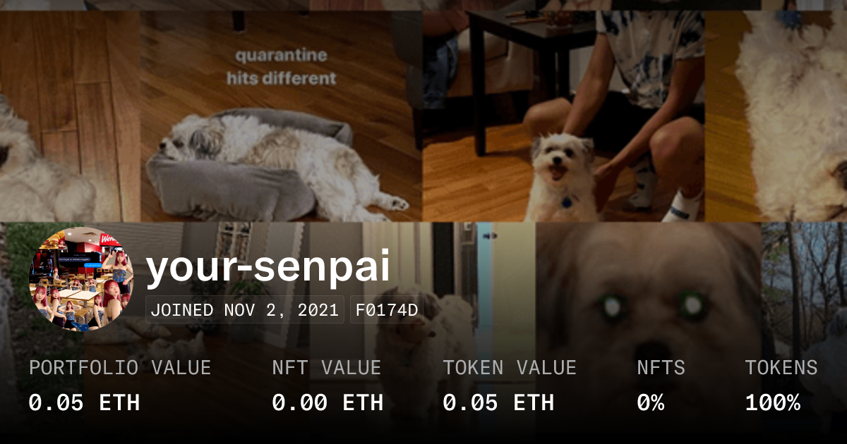 your-senpai - Profile | OpenSea