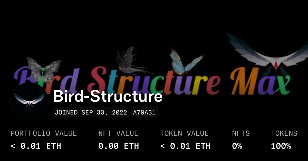 Bird-Structure - Profile | OpenSea