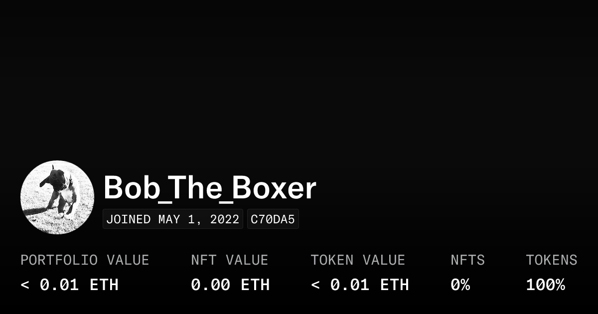 Bob_The_Boxer - Profile | OpenSea