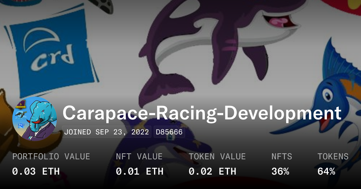 Carapace-Racing-Development - Profile | OpenSea