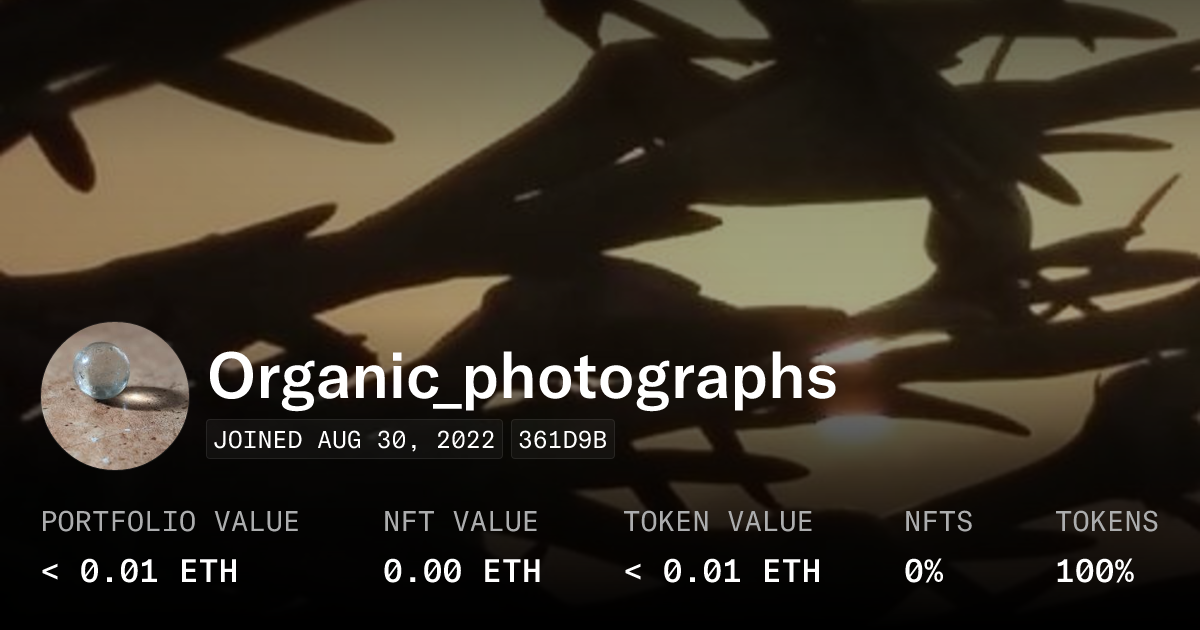Organic_photographs - Profile | OpenSea