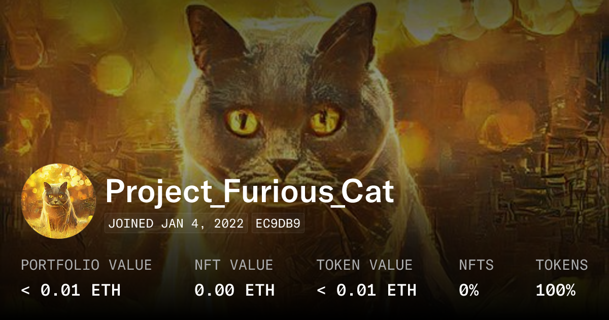 Project_Furious_Cat - Profile | OpenSea