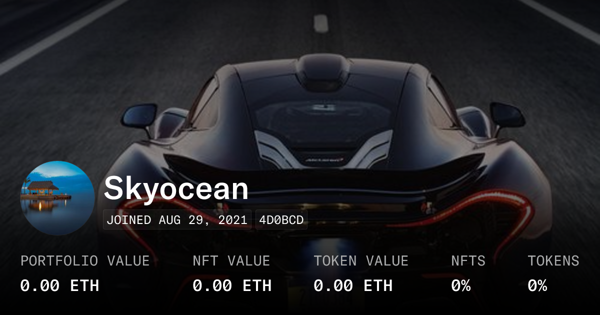 Skyocean - Profile | OpenSea