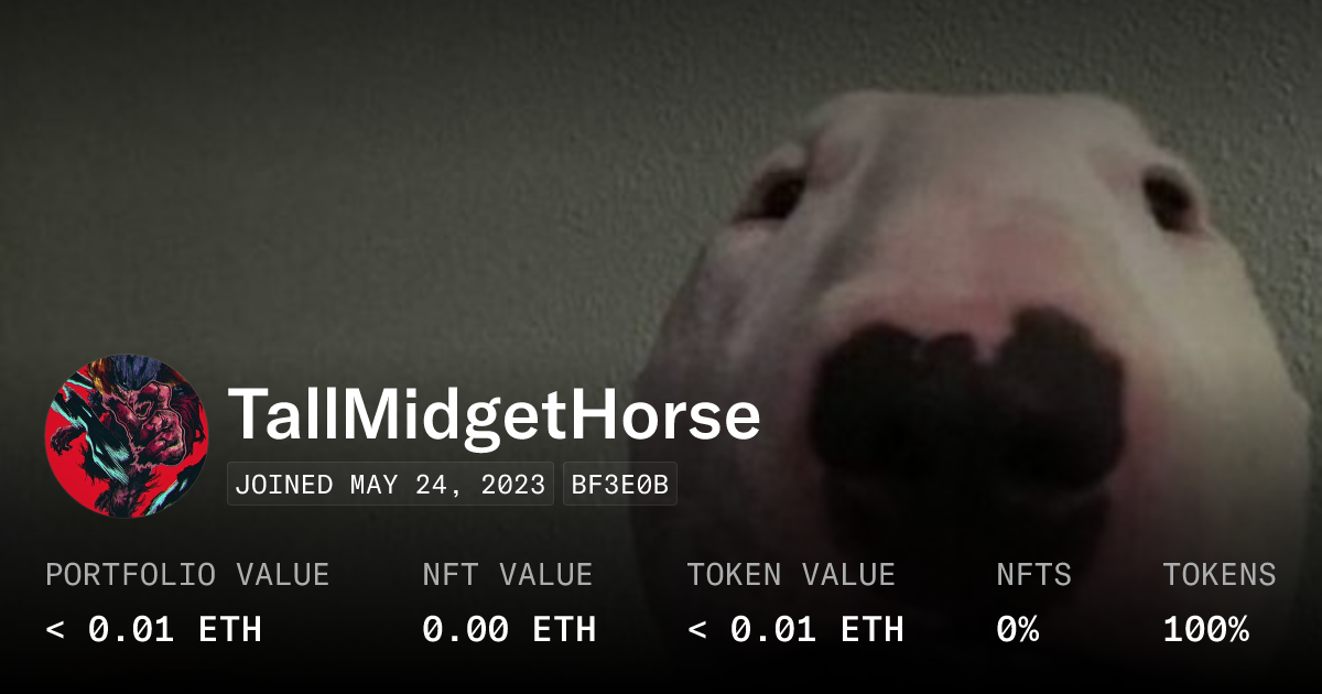TallMidgetHorse - Profile | OpenSea