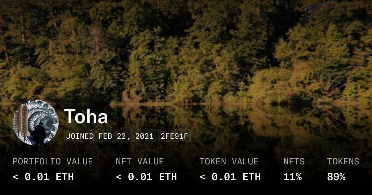 Toha - Profile | OpenSea