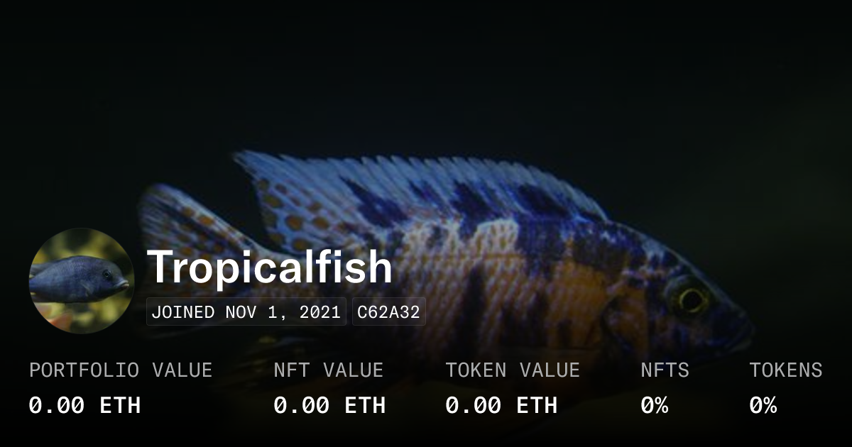 Tropicalfish - Profile | OpenSea