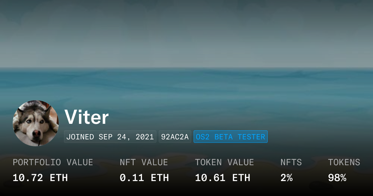 Viter - Profile | OpenSea