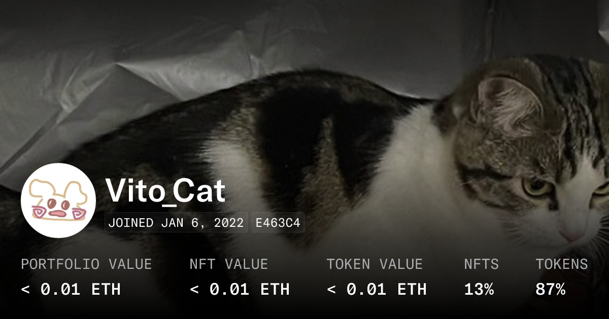 Vito_Cat - Profile | OpenSea