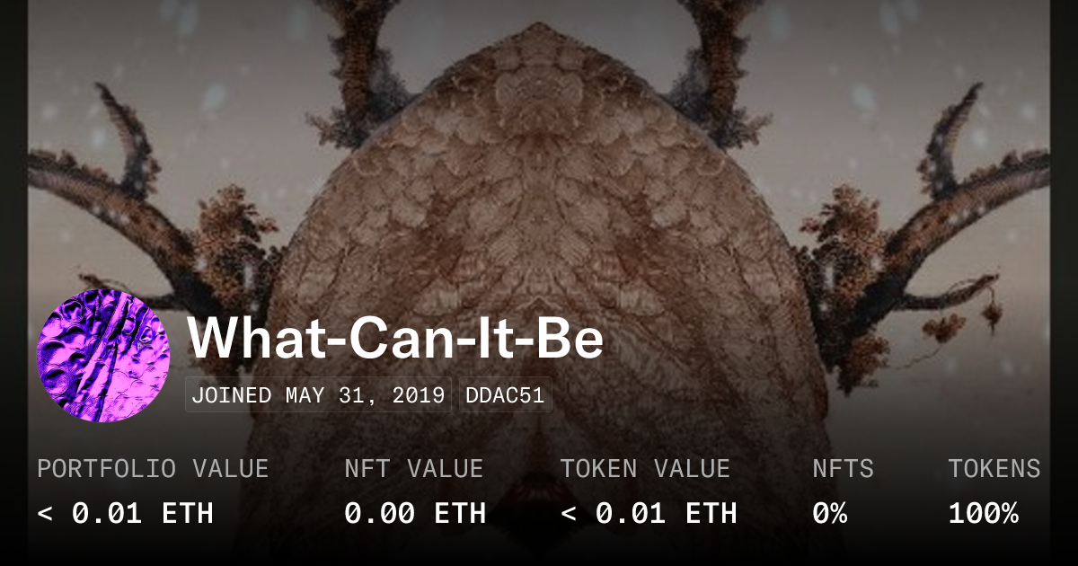 What-Can-It-Be - Profile | OpenSea