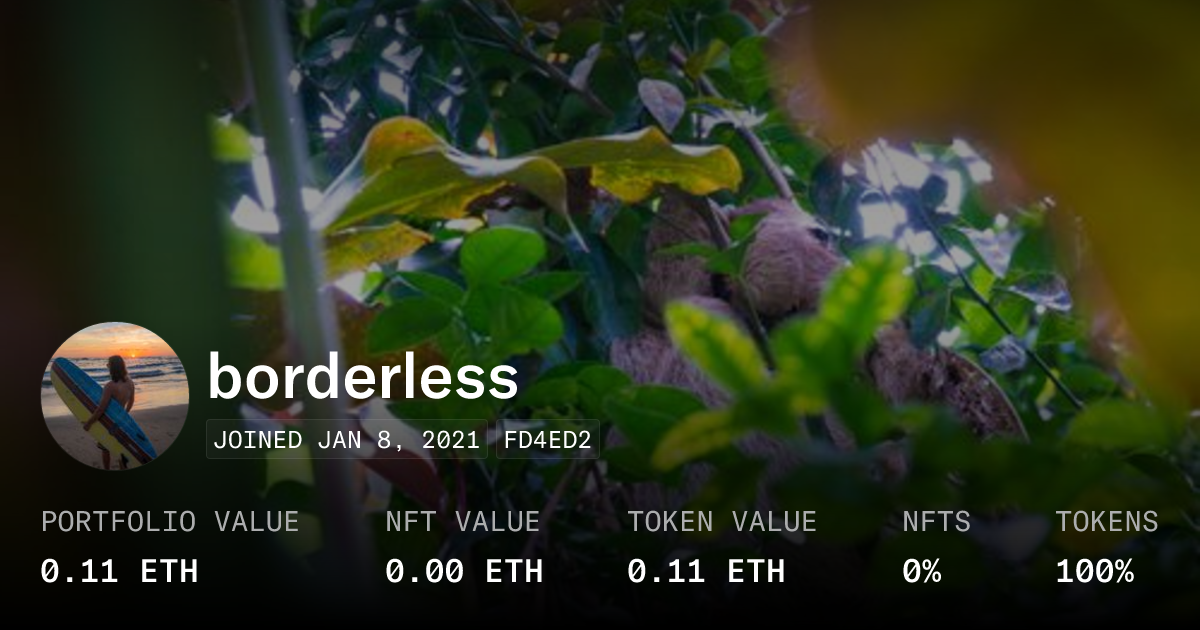 borderless - Profile | OpenSea