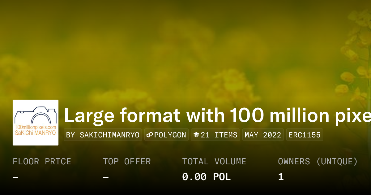 Large format with 100 million pixels - Collection | OpenSea