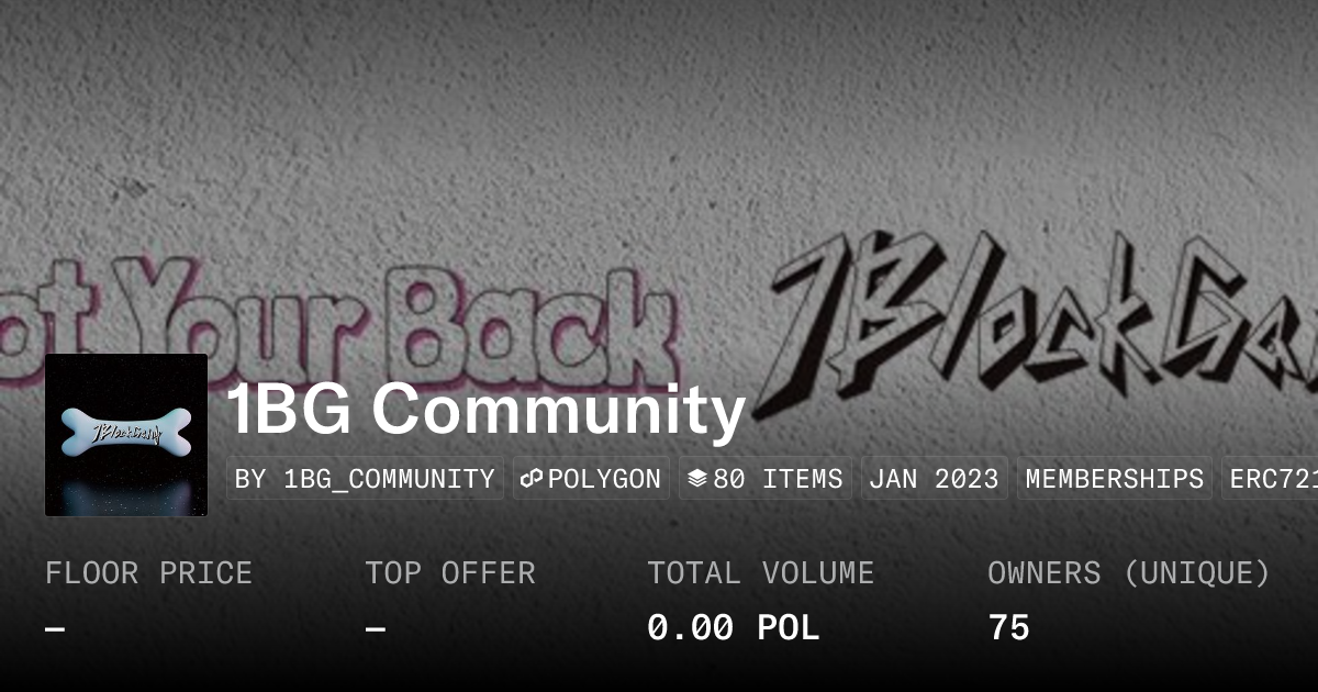 1BG Community - Collection | OpenSea