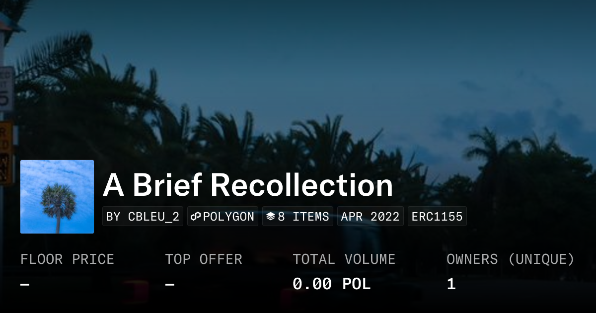 A Brief Recollection - Collection | OpenSea