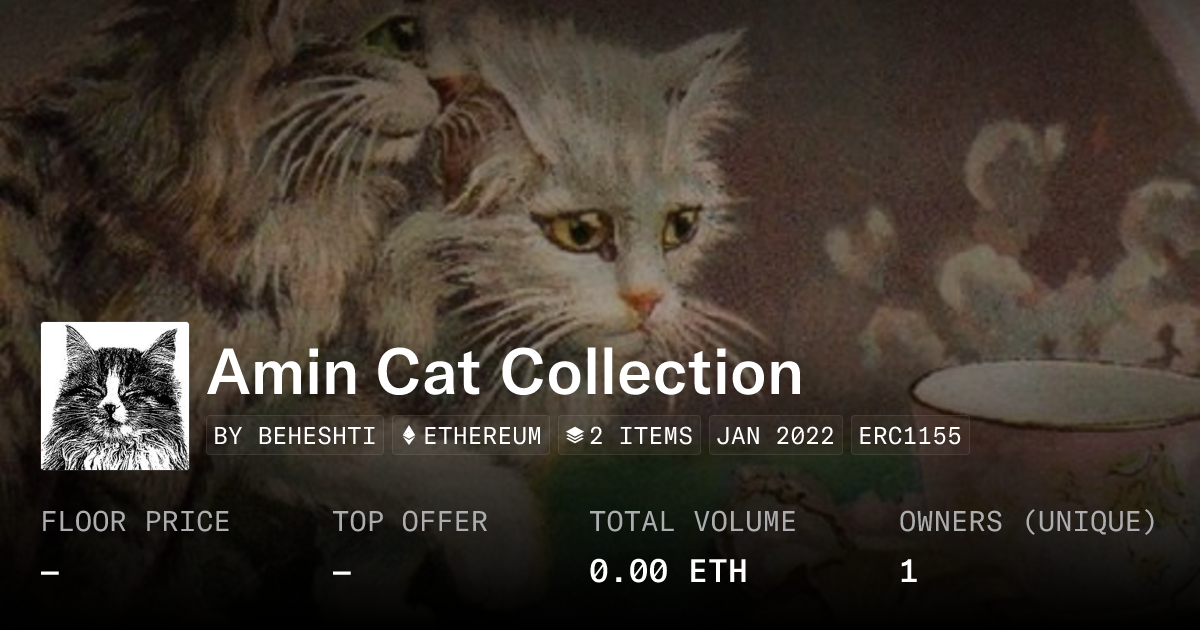Amin Cat Collection - Collection | OpenSea