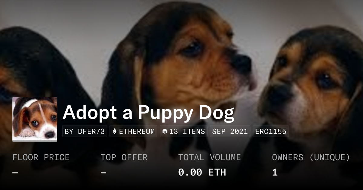 opengraph-image?ts=29196432