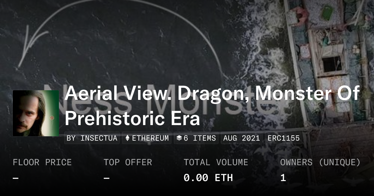 Aerial View. Dragon, Monster Of Prehistoric Era - Collection | OpenSea