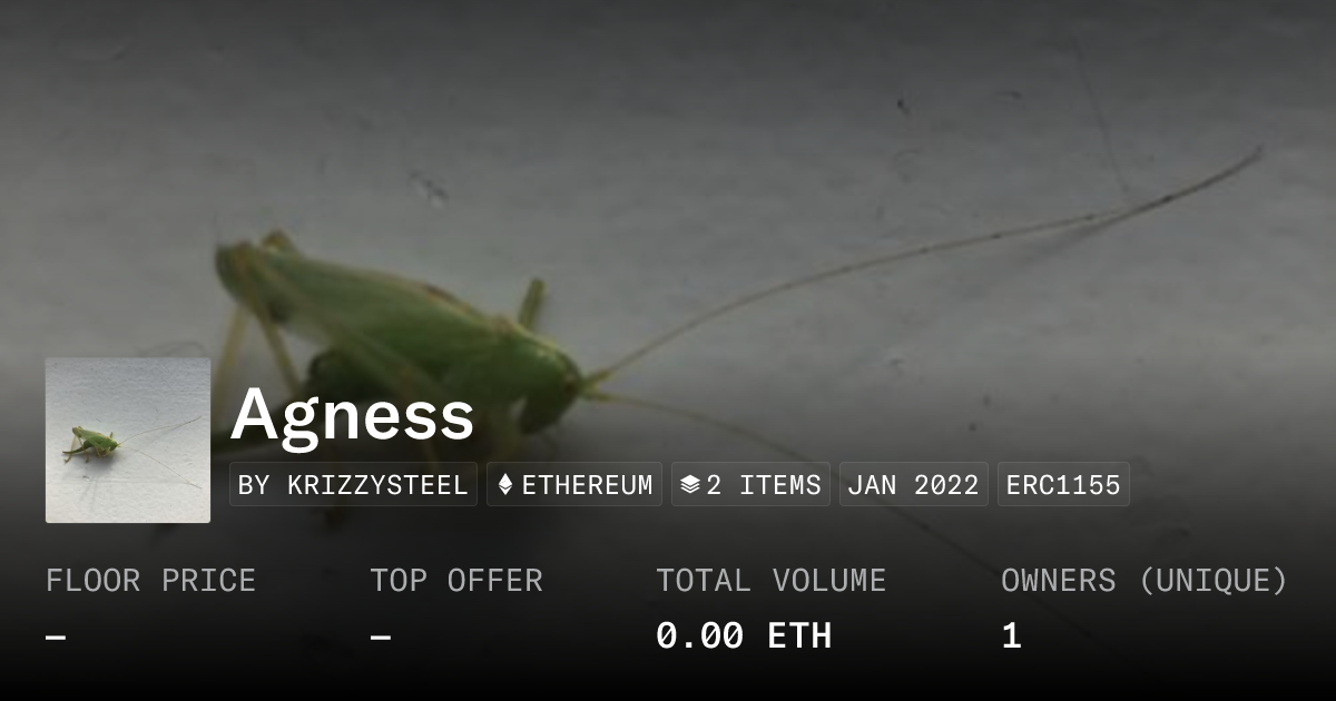 opengraph-image?ts=29189310