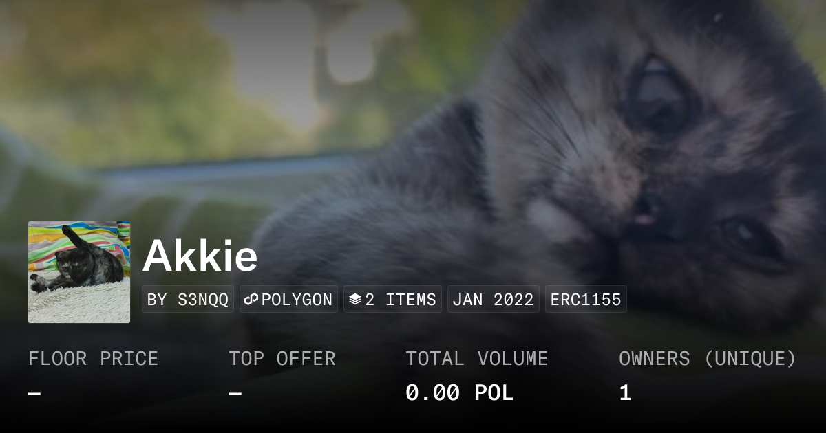 Akkie - Collection | OpenSea