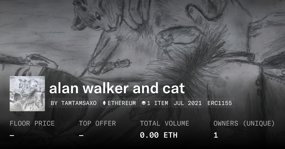 alan walker and cat - Collection | OpenSea