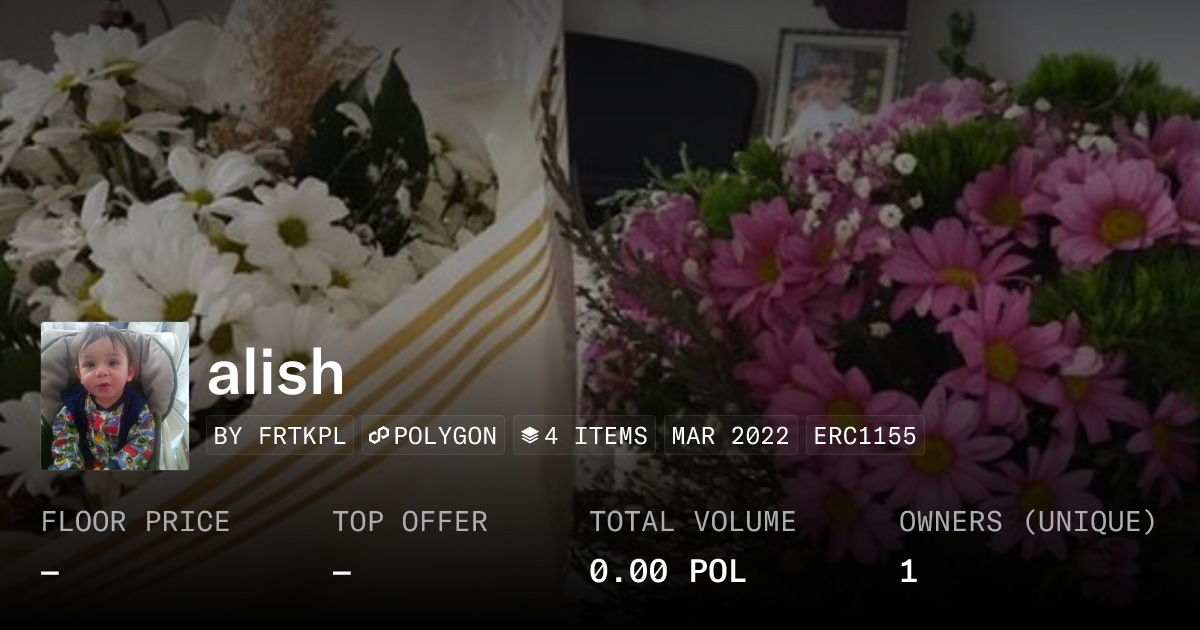 alish - Collection | OpenSea