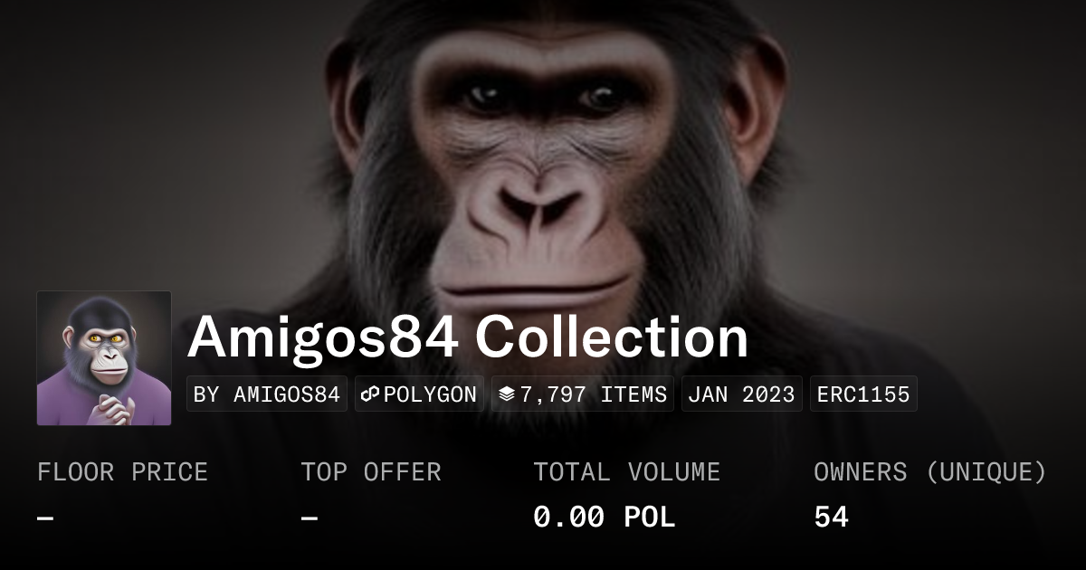 Amigos84 Collection - Collection | OpenSea