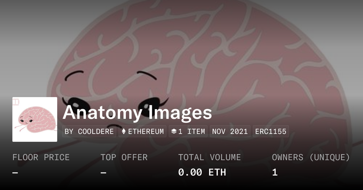 Anatomy Images - Collection | OpenSea