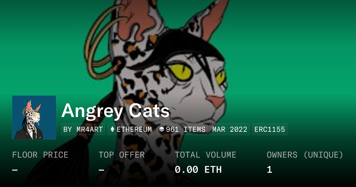 Angrey Cats - Collection | OpenSea