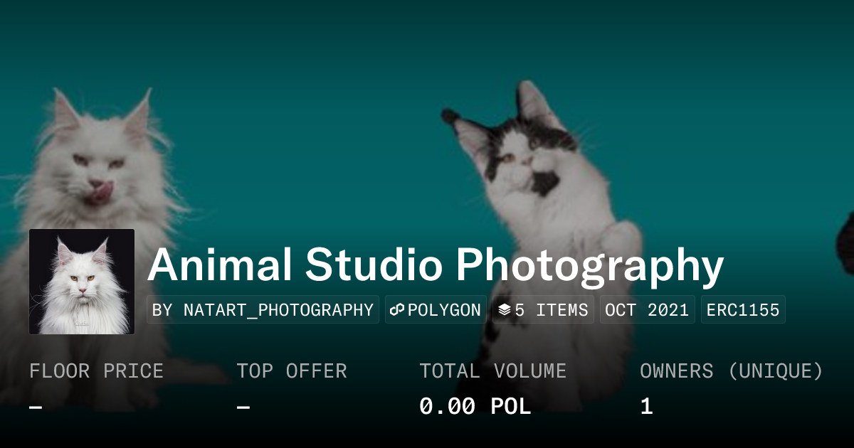 Animal Studio Photography - Collection | OpenSea