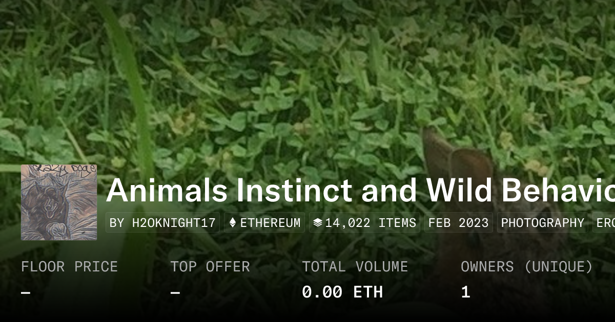 opengraph-image?ts=29204125