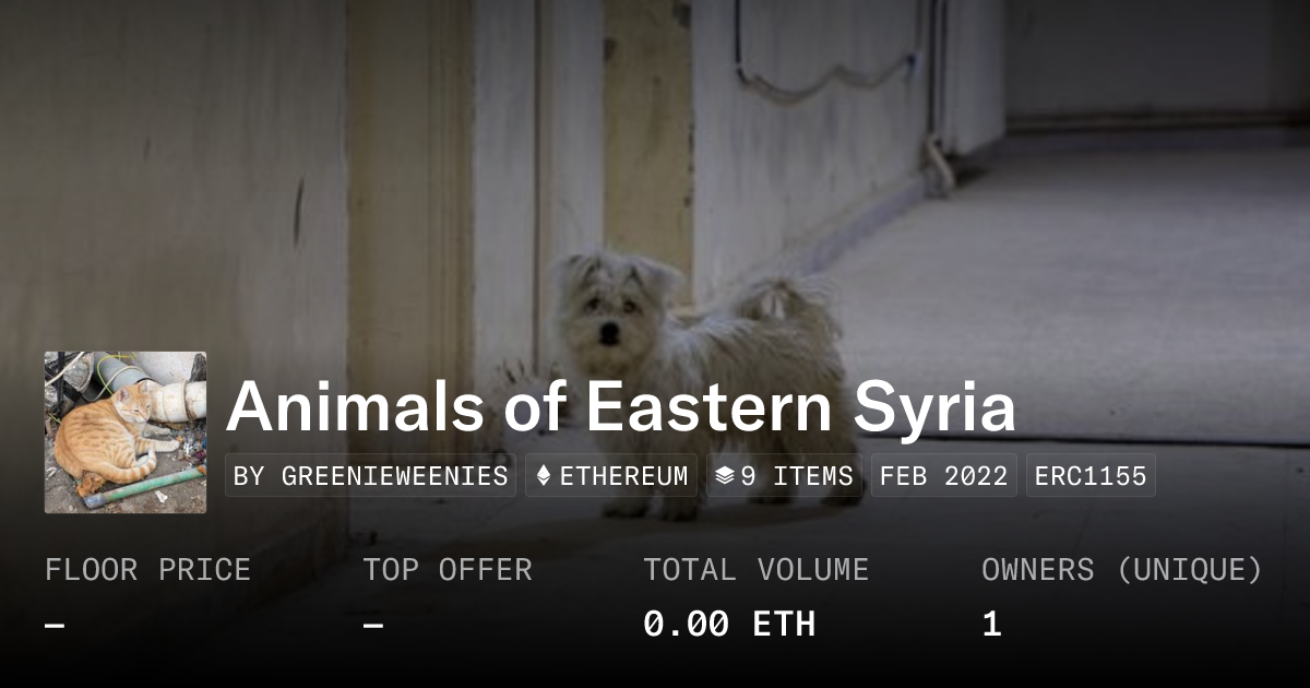Animals of Eastern Syria - Collection | OpenSea