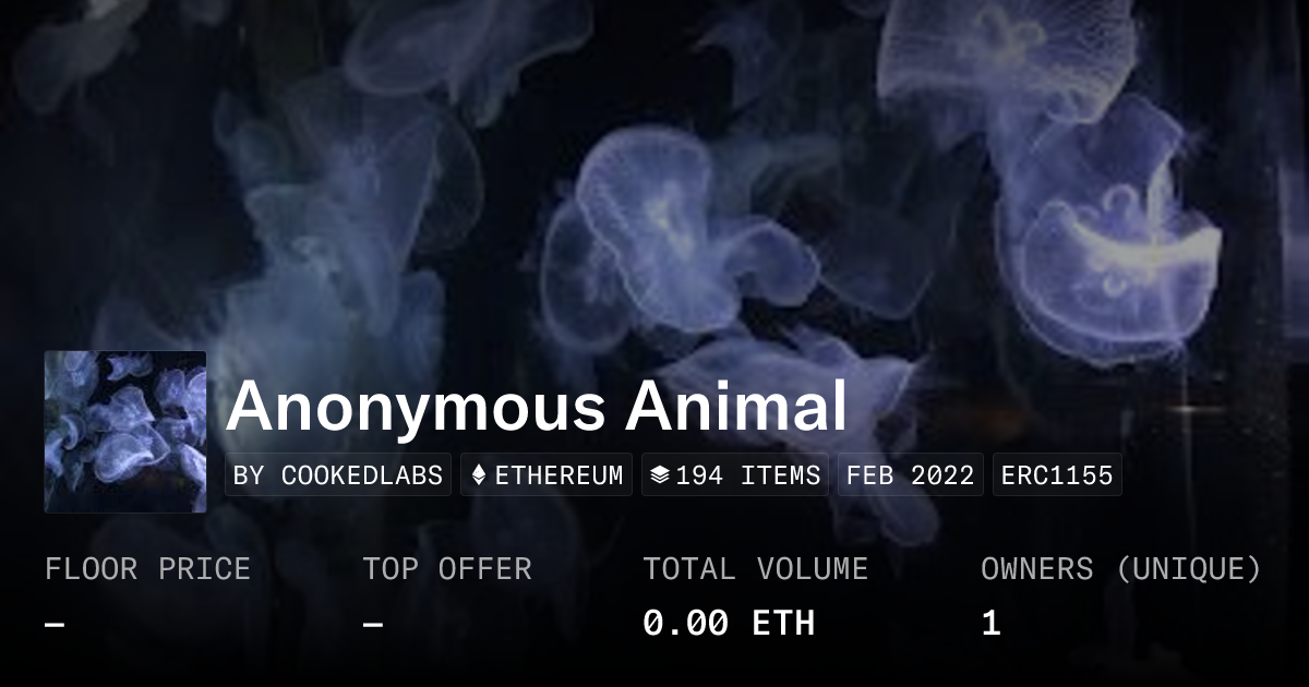 opengraph-image?ts=29199523