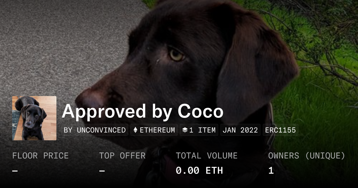 opengraph-image?ts=29209219