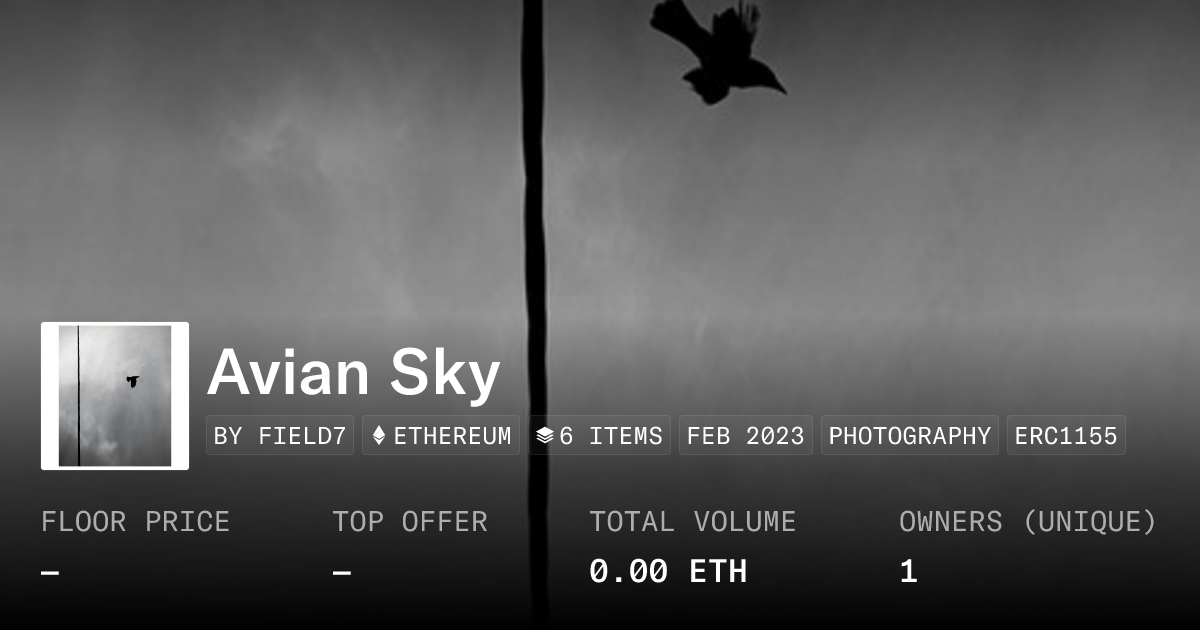 Avian Sky - Collection | OpenSea