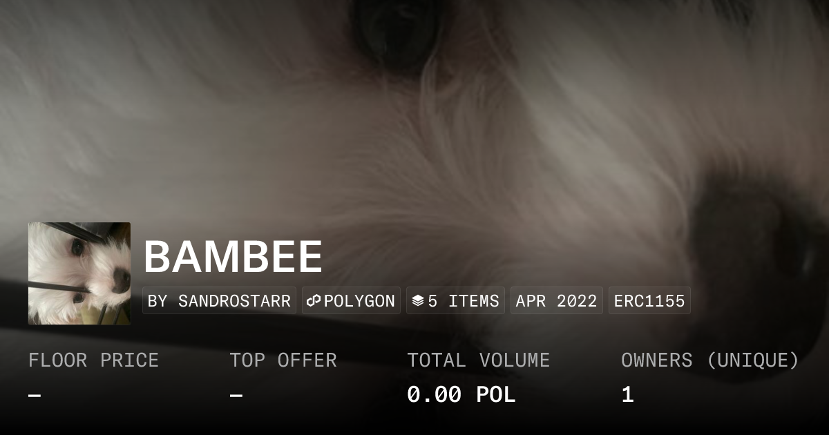 BAMBEE - Collection | OpenSea