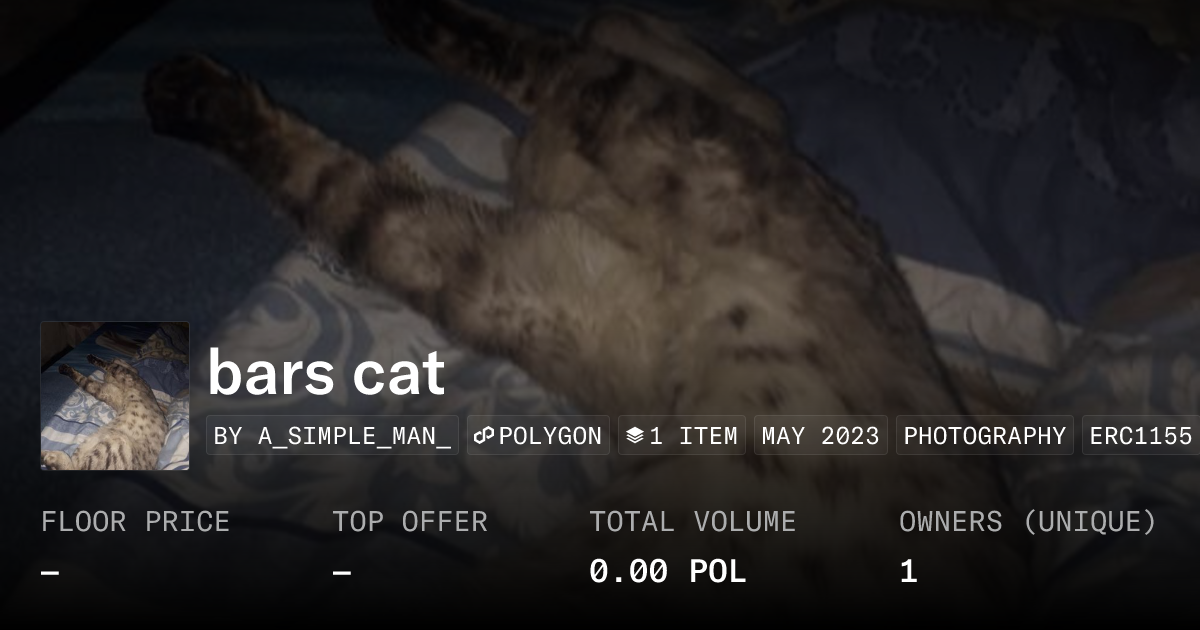 bars cat - Collection | OpenSea