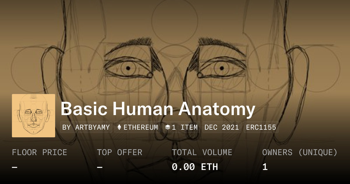 Basic Human Anatomy - Collection | OpenSea