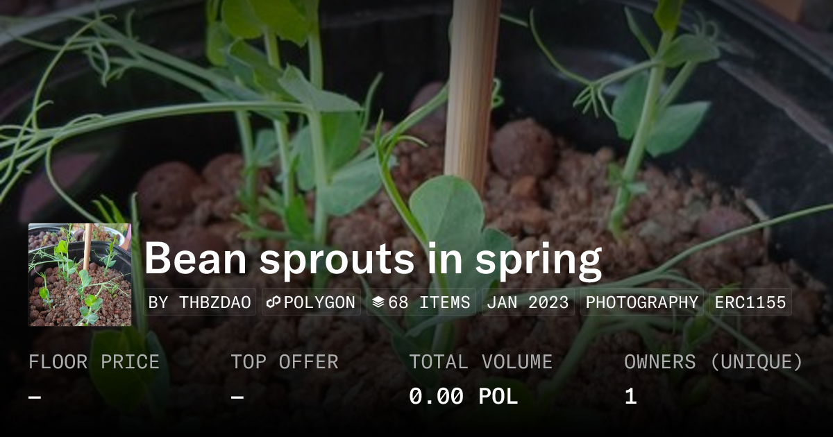 Bean sprouts in spring - Collection | OpenSea