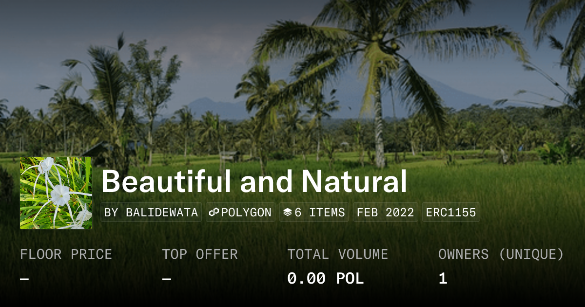 opengraph-image?ts=29204874