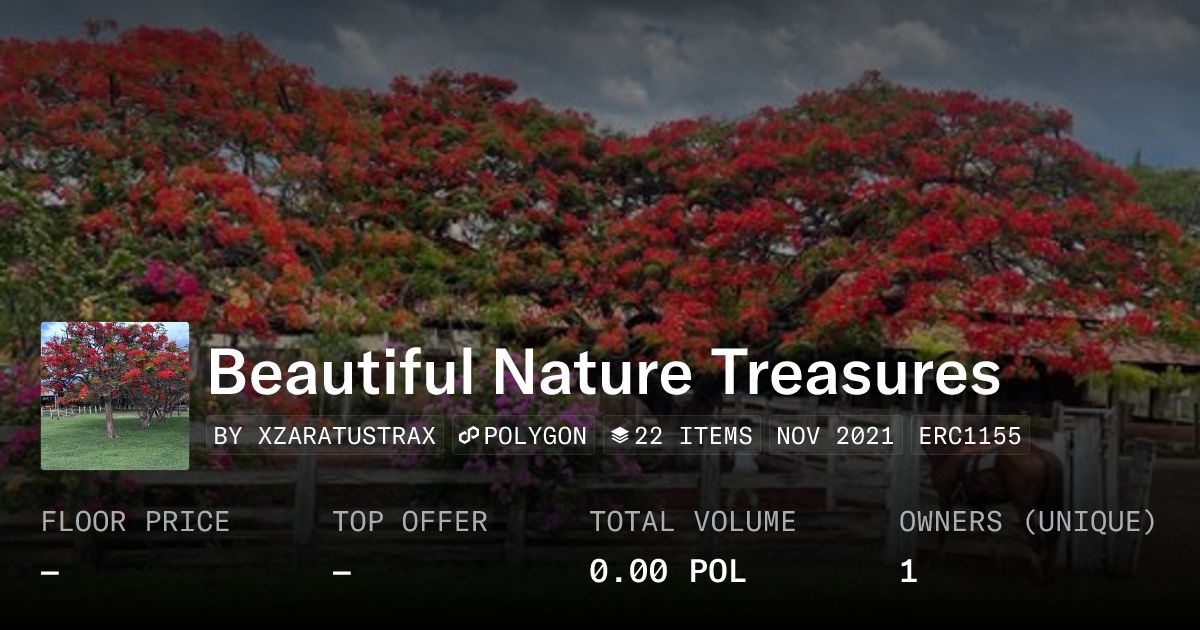 Beautiful Nature Treasures - Collection | OpenSea