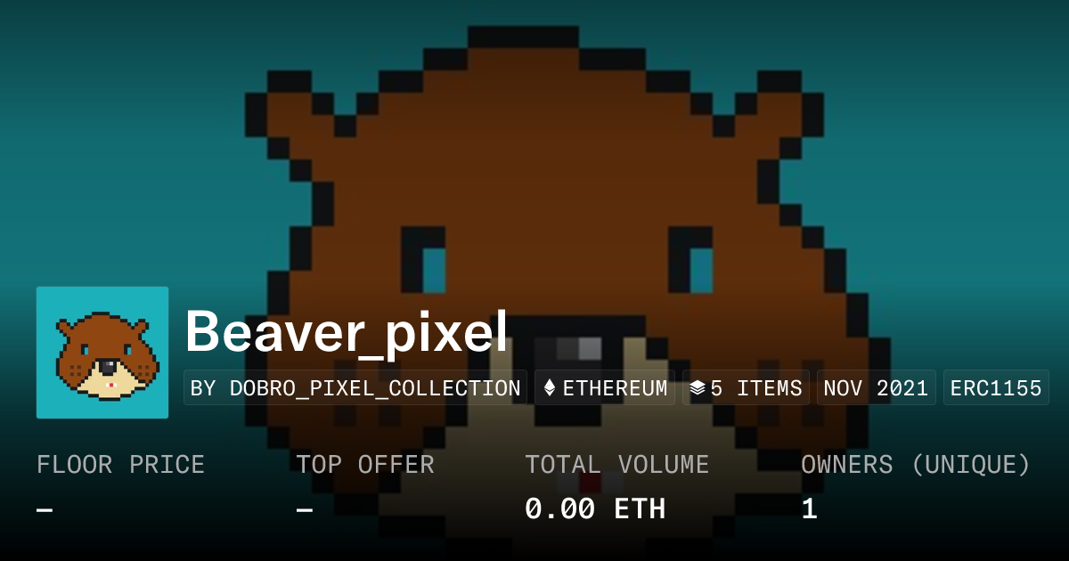 Beaver_pixel - Collection | OpenSea