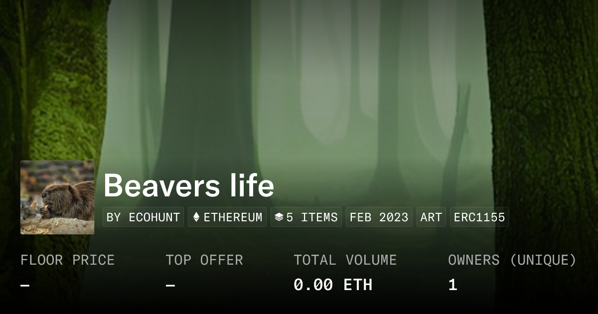 Beavers life - Collection | OpenSea