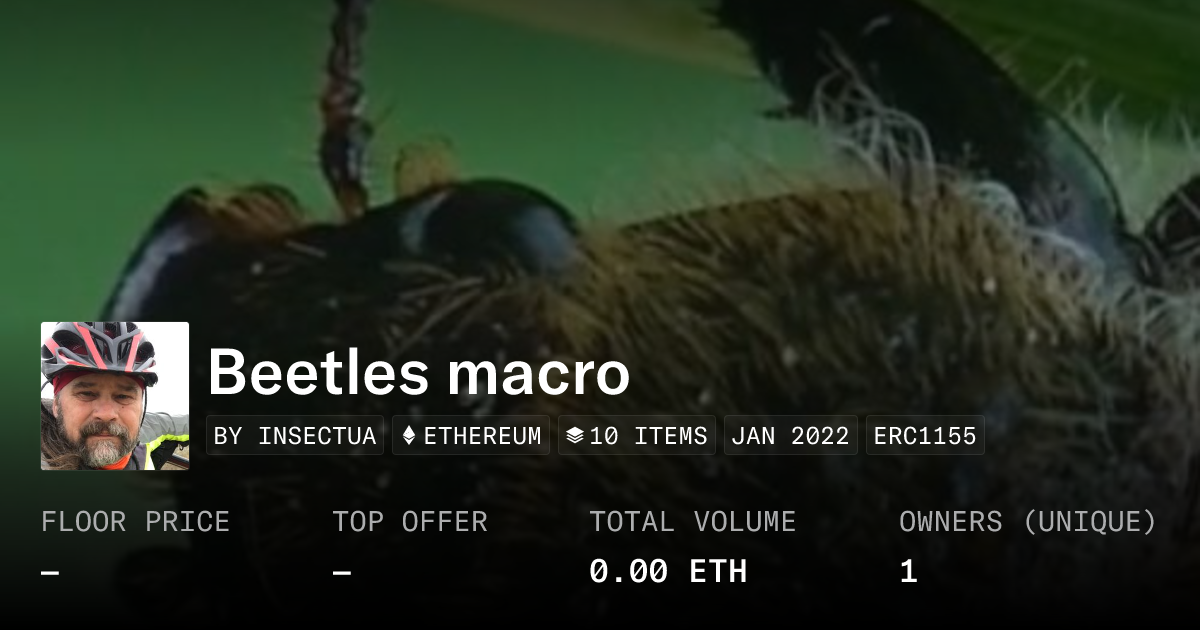 opengraph-image?ts=29188320