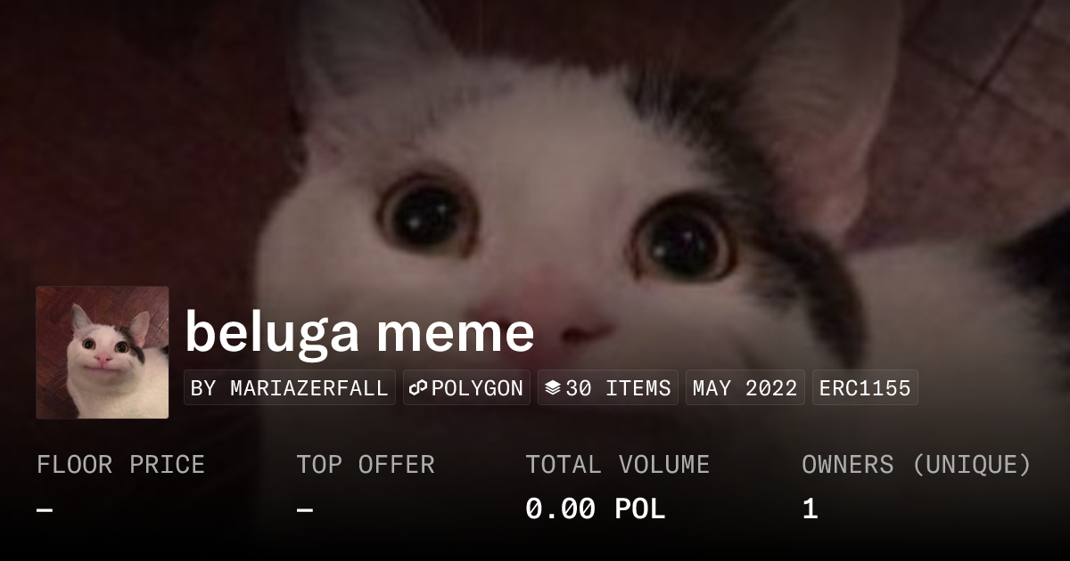 beluga meme - Collection | OpenSea