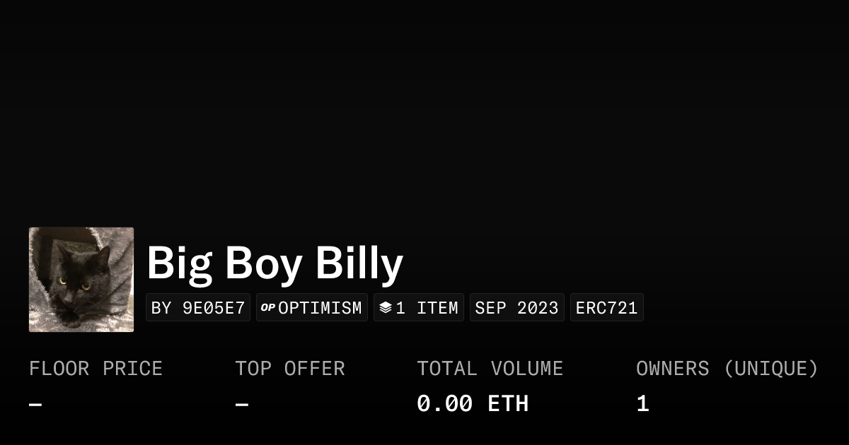 Big Boy Billy - Collection | OpenSea
