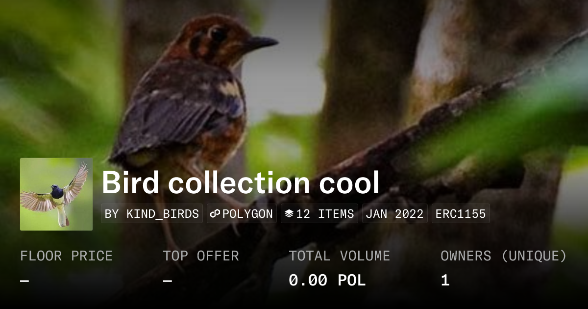 Bird collection cool - Collection | OpenSea