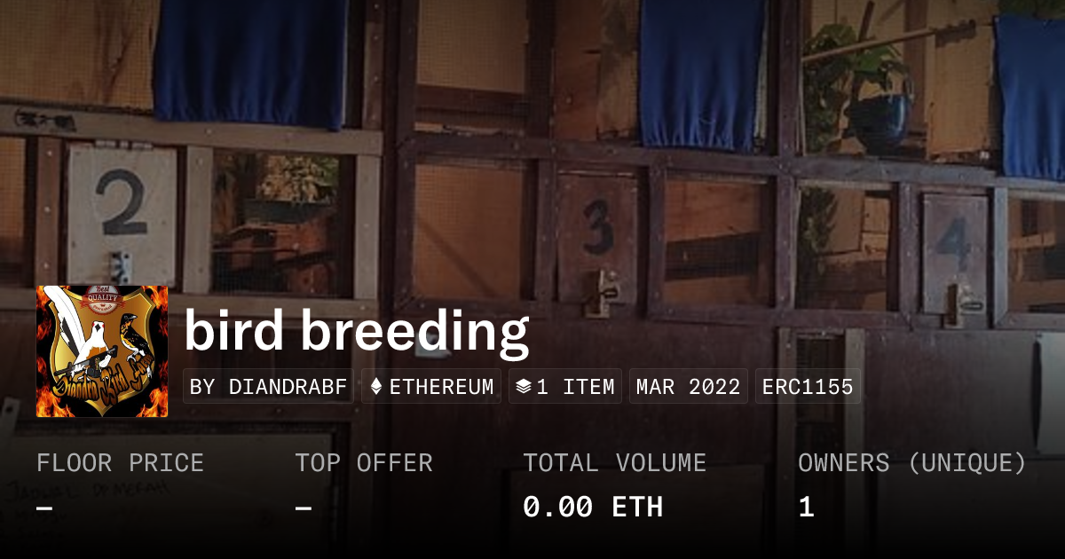 bird breeding - Collection | OpenSea