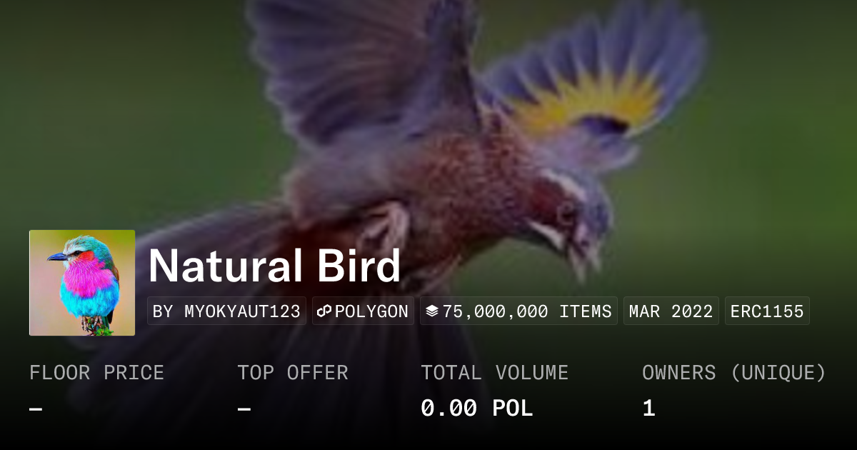 Natural Bird - Collection | OpenSea