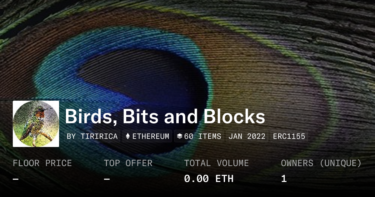 Birds, Bits and Blocks - Collection | OpenSea